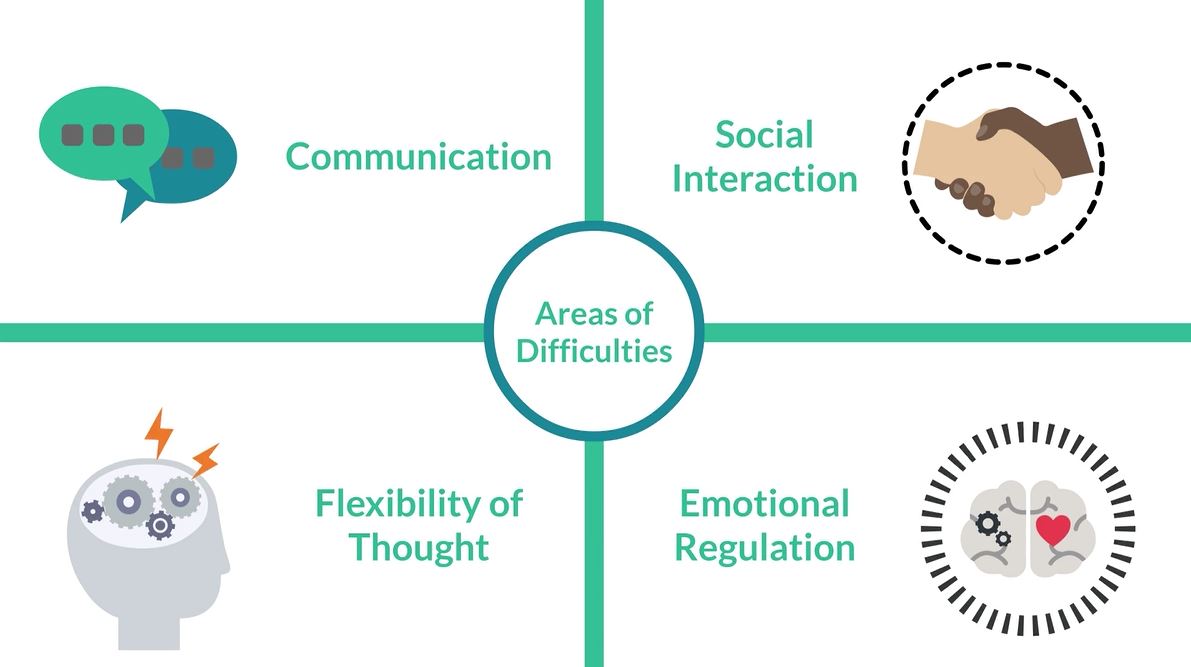 Introduction to the new and improved Evisense